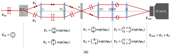 Motionless Polarizing Structured Illumination Microscopy