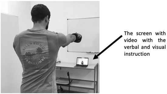 Punch Trackers: Correct Recognition Depends on Punch Type and Training ...