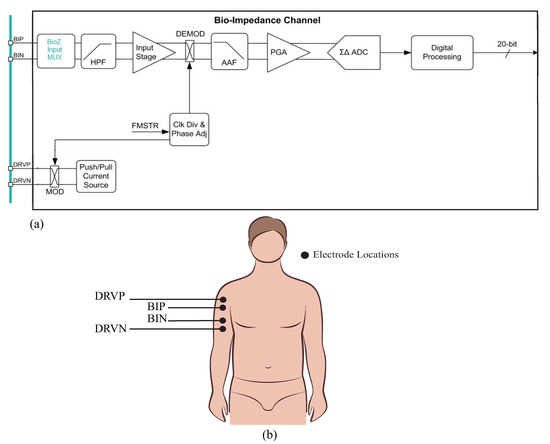 Sensors | Free Full-Text | Localized Bioimpedance Measurements with the MAX3000x Integrated ...