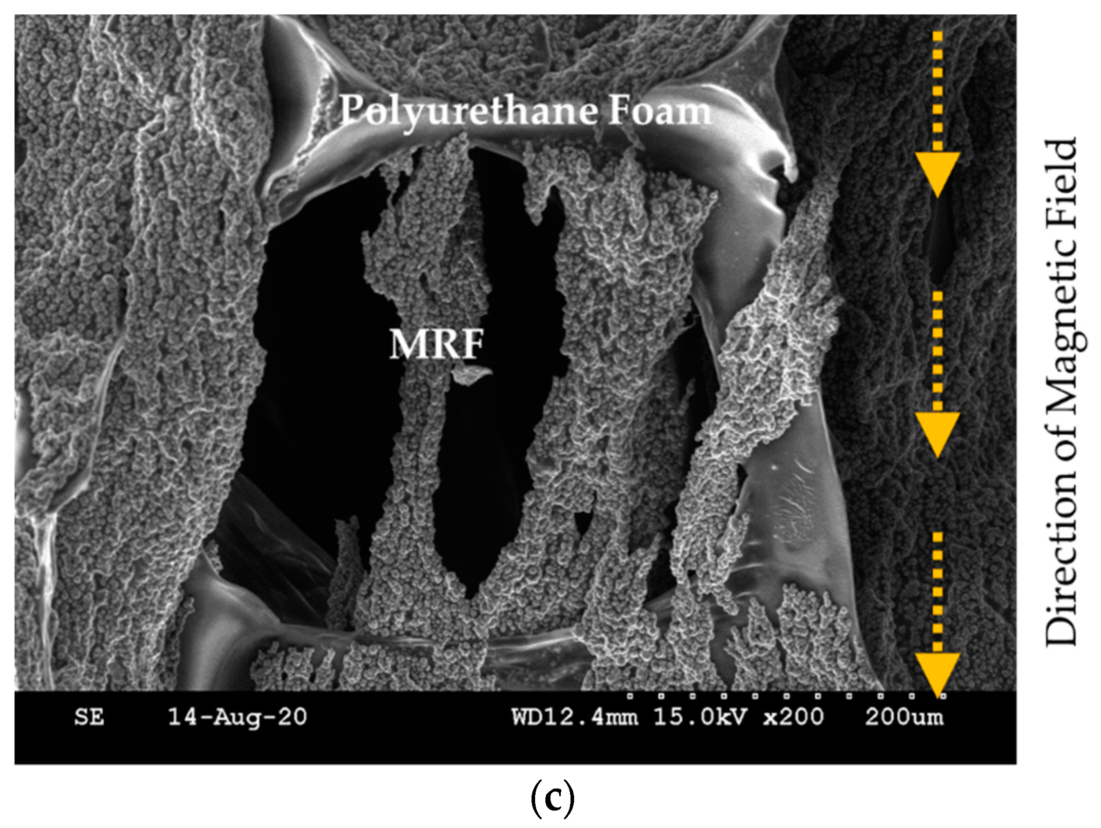 A New Tactile Transfer Cell Using Magnetorheological Materials for ...