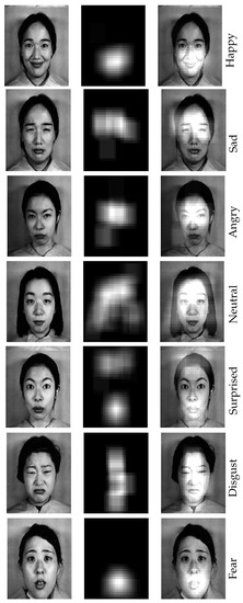 Deep-Emotion: Facial Expression Recognition Using Attentional ...