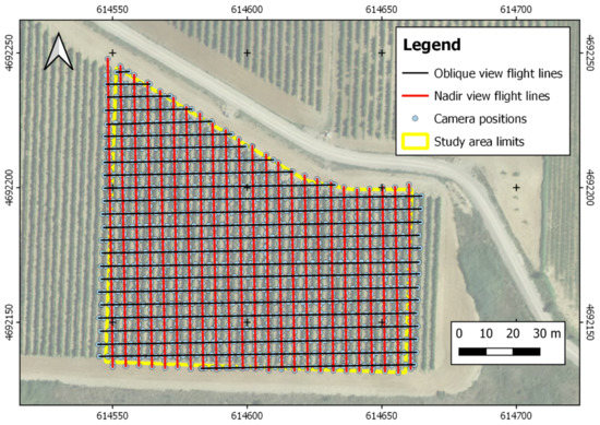 Grape Cluster Detection Using UAV Photogrammetric Point Clouds as a Low-Cost Tool for Yield ...
