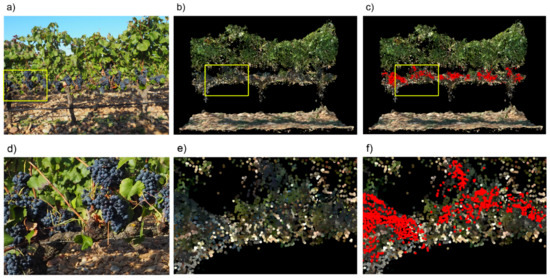 Grape Cluster Detection Using UAV Photogrammetric Point Clouds as a Low-Cost Tool for Yield ...