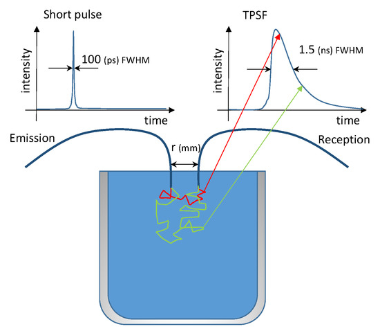 Sensors | Free Full-Text | Comparison of Time Resolved Optical ...