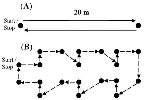Validity of Hip and Ankle Worn Actigraph Accelerometers for Measuring ...
