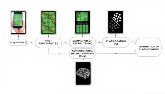 Identification of Cotton Leaf Lesions Using Deep Learning Techniques