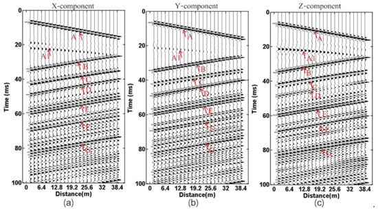 3-D Multi-Component Reverse Time Migration Method for Tunnel Seismic Data