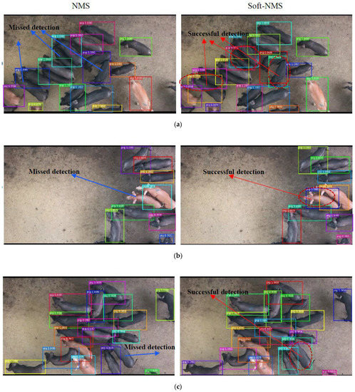 Automatic Detection and Segmentation for Group-Housed Pigs Based on PigMS R-CNN