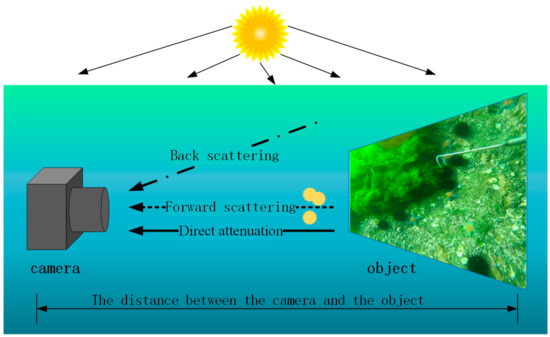 Deep Supervised Residual Dense Network for Underwater Image Enhancement
