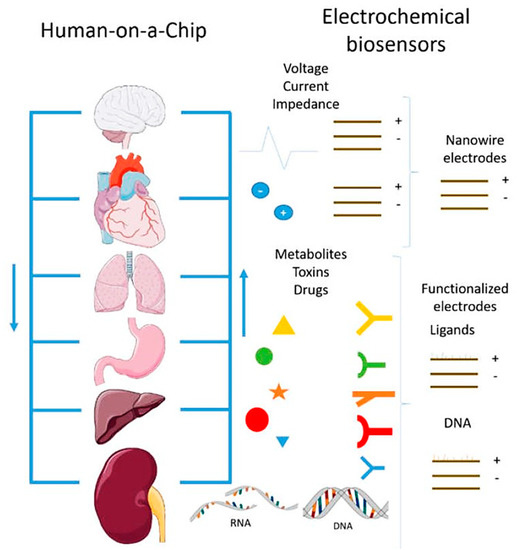 3D Printing Techniques and Their Applications to Organ-on-a-Chip ...