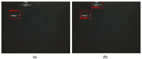 Identification of Flying Insects in the Spatial, Spectral, and Time ...