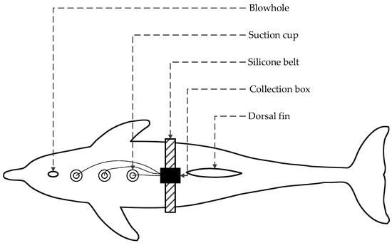 A Portable Waterproof EEG Acquisition Device for Dolphins