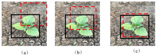 An Instance Segmentation-Based Method to Obtain the Leaf Age and Plant ...