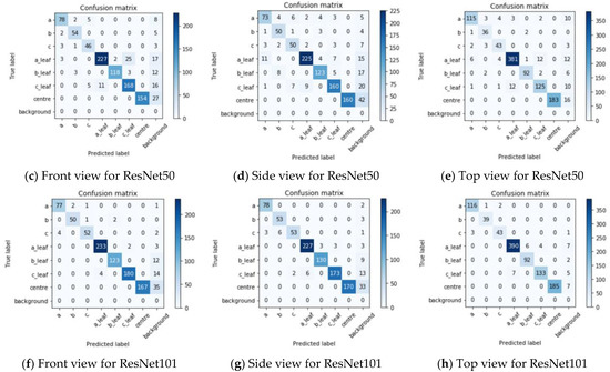 An Instance Segmentation-Based Method to Obtain the Leaf Age and Plant ...