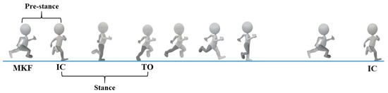 Ankle Muscle Activations during Different Foot-Strike Patterns in Running