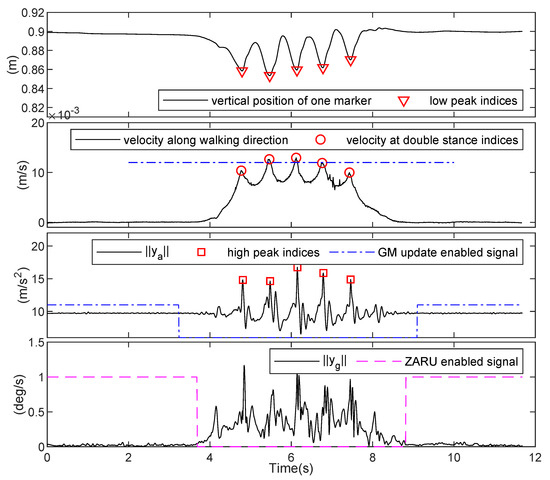 Improved Single Inertial-Sensor-Based Attitude Estimation during Walking Using Velocity-Aided ...
