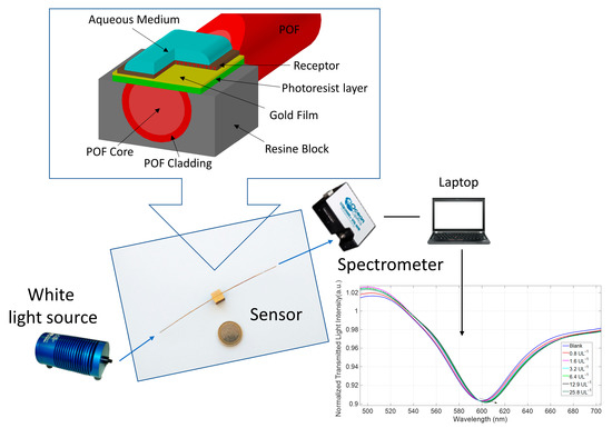 Sensors | Free Full-Text | A Surface Plasmon Resonance Plastic Optical ...