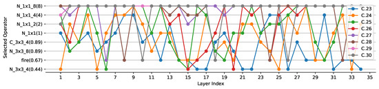 Implementation of Lightweight Convolutional Neural Networks via Layer-Wise Differentiable ...