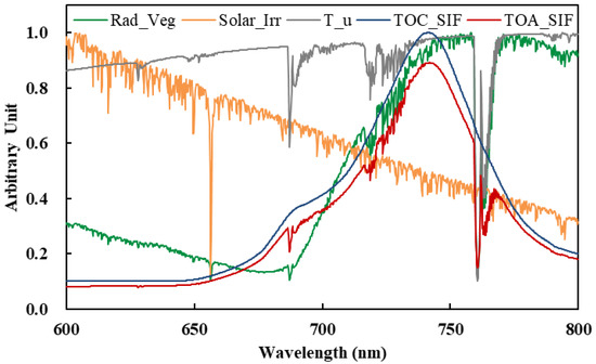 Optimizing the Empirical Parameters of the Data-Driven Algorithm for ...