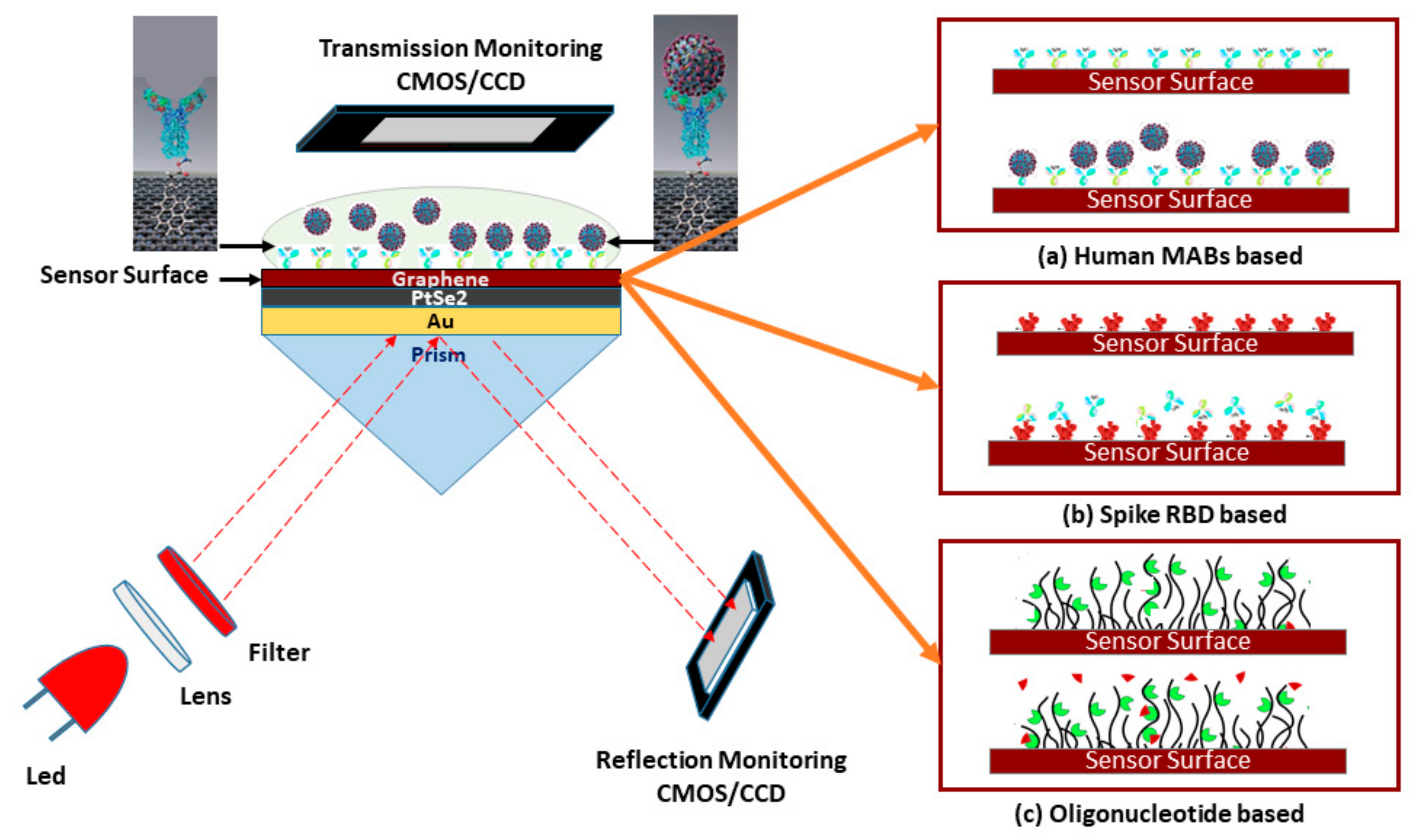 Design and Numerical Analysis of a Graphene-Coated SPR Biosensor for ...