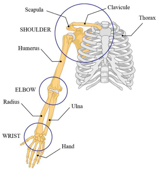Current Trends and Challenges in Pediatric Access to Sensorless and ...