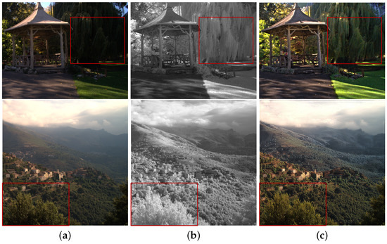 Multi-Spectral Fusion and Denoising of Color and Near-Infrared Images ...