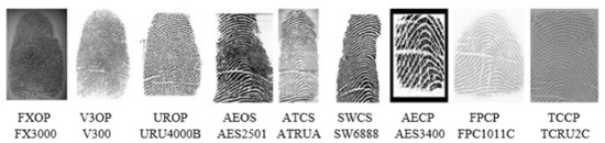 Cross-Sensor Fingerprint Matching Using Siamese Network and Adversarial Learning
