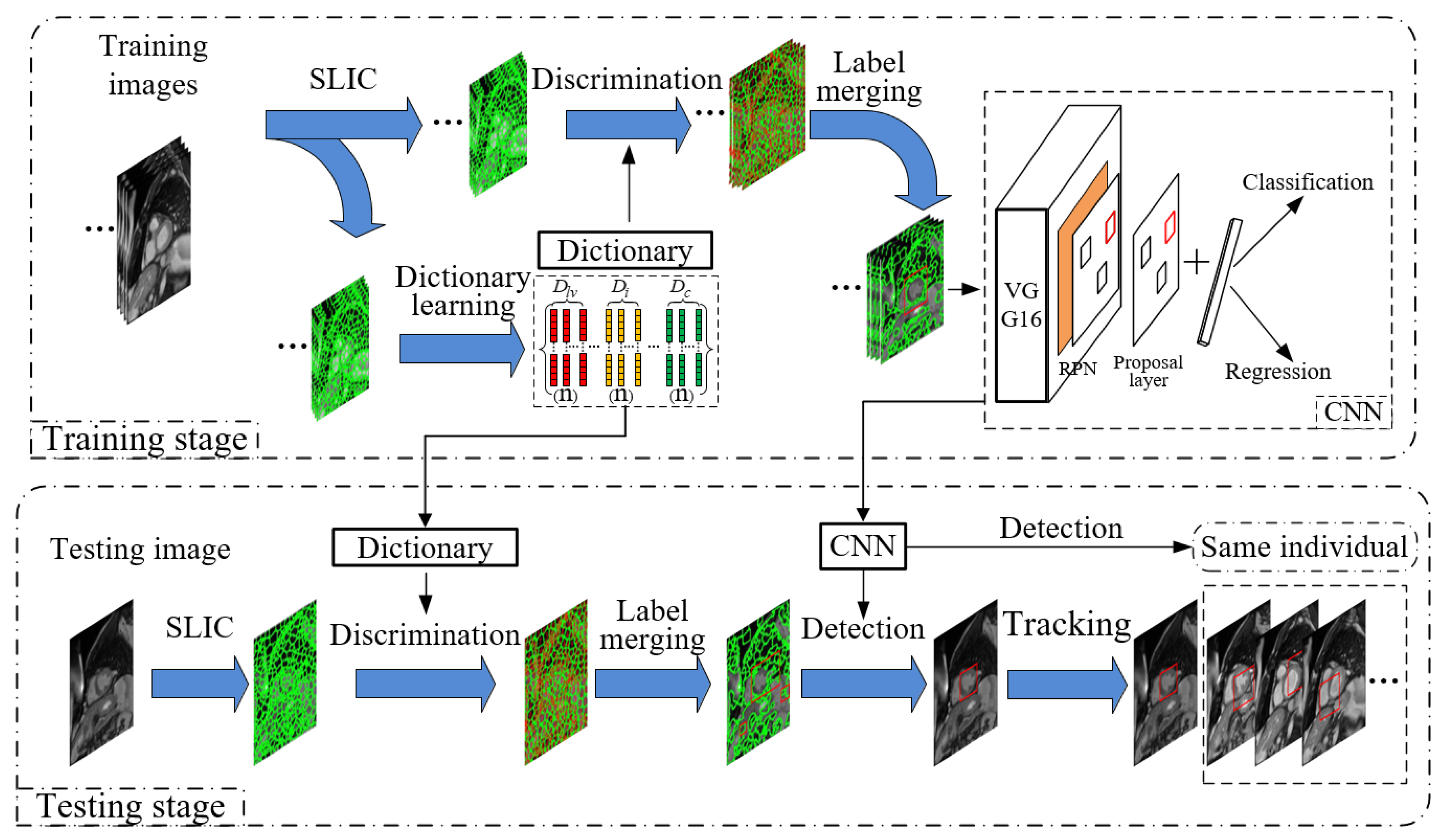 A Convolutional Neural Network Combining Discriminative Dictionary Learning and Sequence ...
