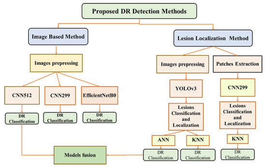 Diabetic Retinopathy Fundus Image Classification and Lesions ...