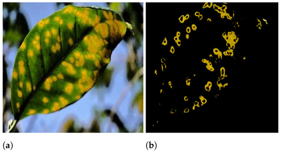 AI-Driven Framework for Recognition of Guava Plant Diseases through ...