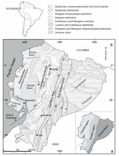 GNSS Constraints to Active Tectonic Deformations of the South American Continental Margin in Ecuador