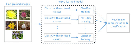 Exploring Misclassification Information for Fine-Grained Image ...
