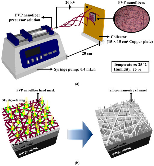 Highly Sensitive and Selective Sodium Ion Sensor Based on Silicon Nanowire Dual Gate Field ...