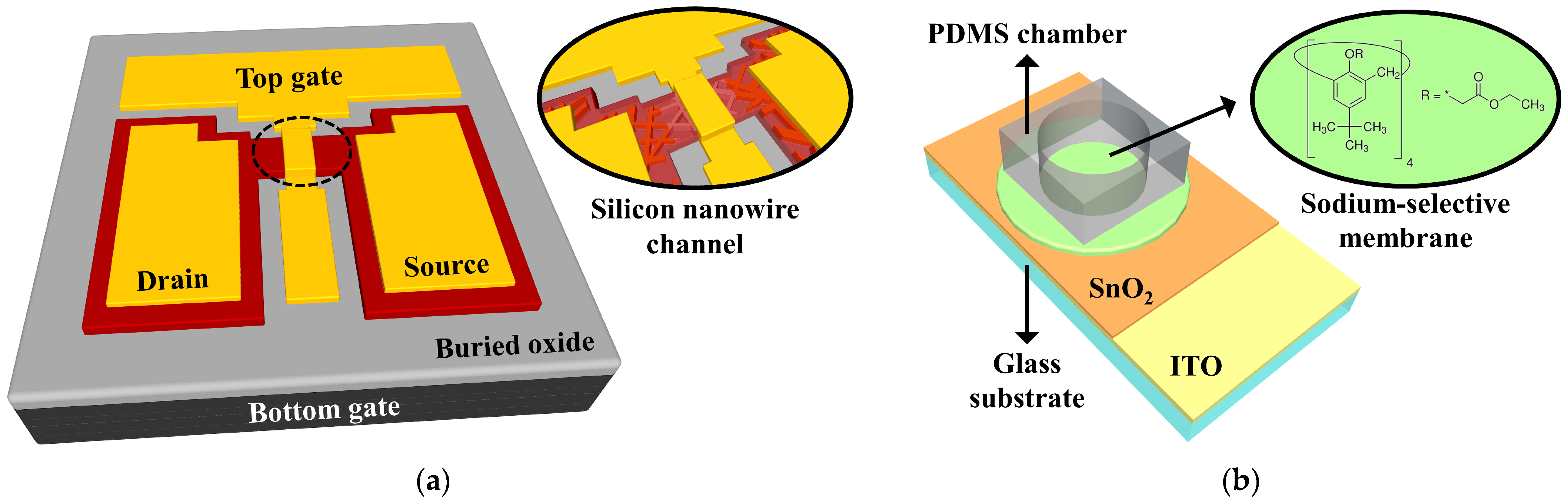 Highly Sensitive and Selective Sodium Ion Sensor Based on Silicon Nanowire Dual Gate Field ...