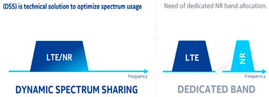 Dynamic Spectrum Sharing for Future LTE-NR Networks