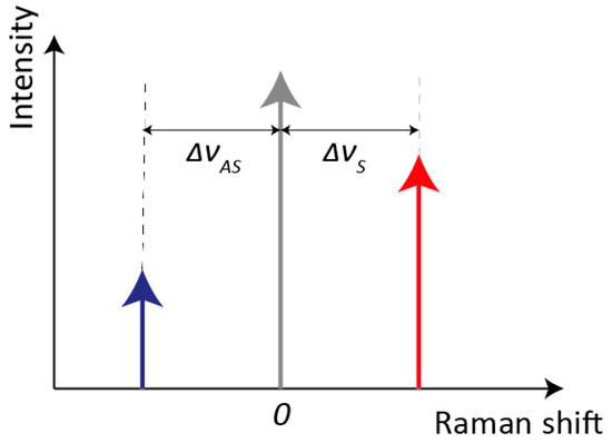 Sensors | Free Full-Text | Single Photon Avalanche Diode Arrays for Time-Resolved Raman Spectroscopy