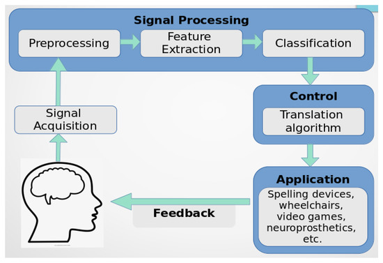 Brain-Computer Interfaces Systems for Upper and Lower Limb ...