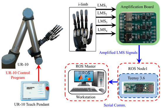 Hierarchical Tactile Sensation Integration from Prosthetic Fingertips ...