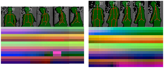 Skeleton Driven Action Recognition Using an Image-Based Spatial-Temporal Representation and ...