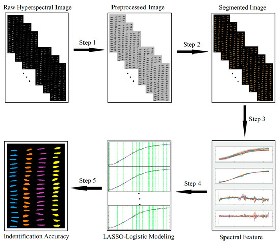 Rice Seed Purity Identification Technology Using Hyperspectral Image with LASSO Logistic ...