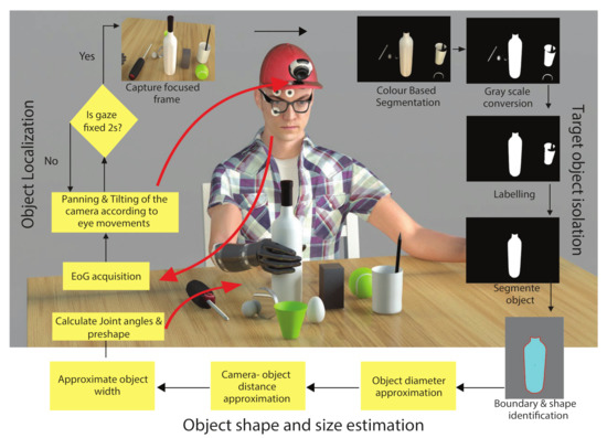 An Electro-Oculogram Based Vision System for Grasp Assistive Devices—A ...