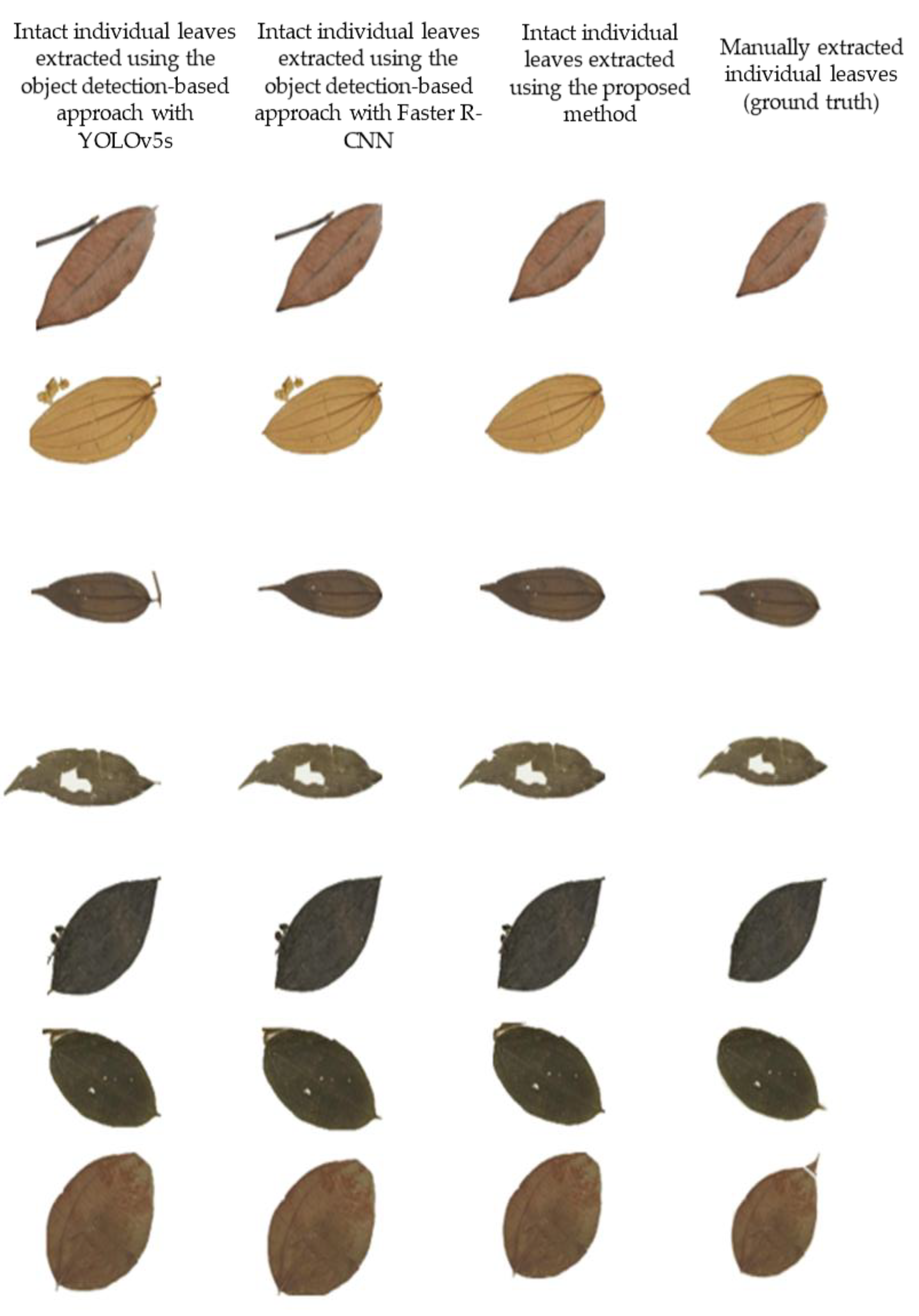 Sensors Free Full Text Automated Extraction Of Phenotypic Leaf Traits Of Individual Intact