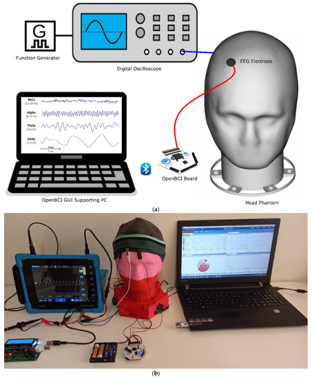 A Long-Lasting Textile-Based Anatomically Realistic Head Phantom for ...