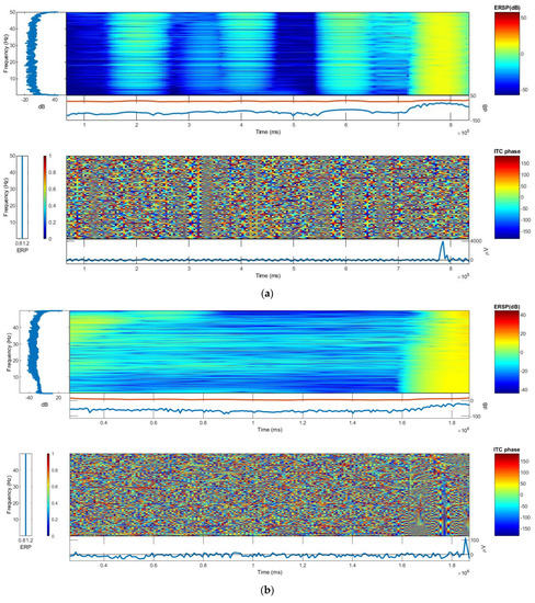 A Long-Lasting Textile-Based Anatomically Realistic Head Phantom for ...