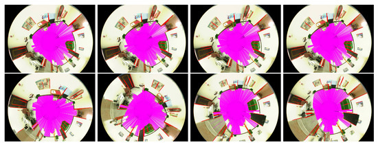 Self-Localization of Mobile Robots Using a Single Catadioptric Camera with Line Feature Extraction