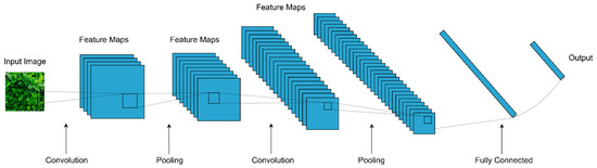A Survey of Deep Convolutional Neural Networks Applied for Prediction ...