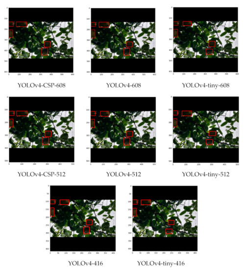 Real Time Pear Fruit Detection and Counting Using YOLOv4 Models and Deep SORT