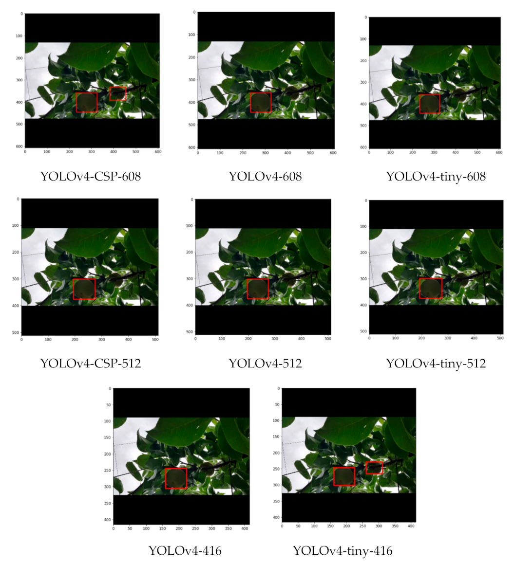 Real Time Pear Fruit Detection and Counting Using YOLOv4 Models and Deep SORT