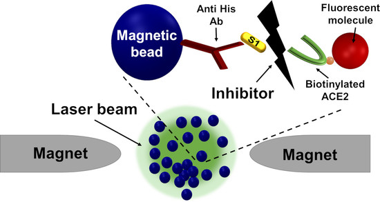 Sensors | Special Issue : Fluorescence Based Biosensing Applications