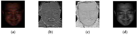3D Reconstruction with Single-Shot Structured Light RGB Line Pattern